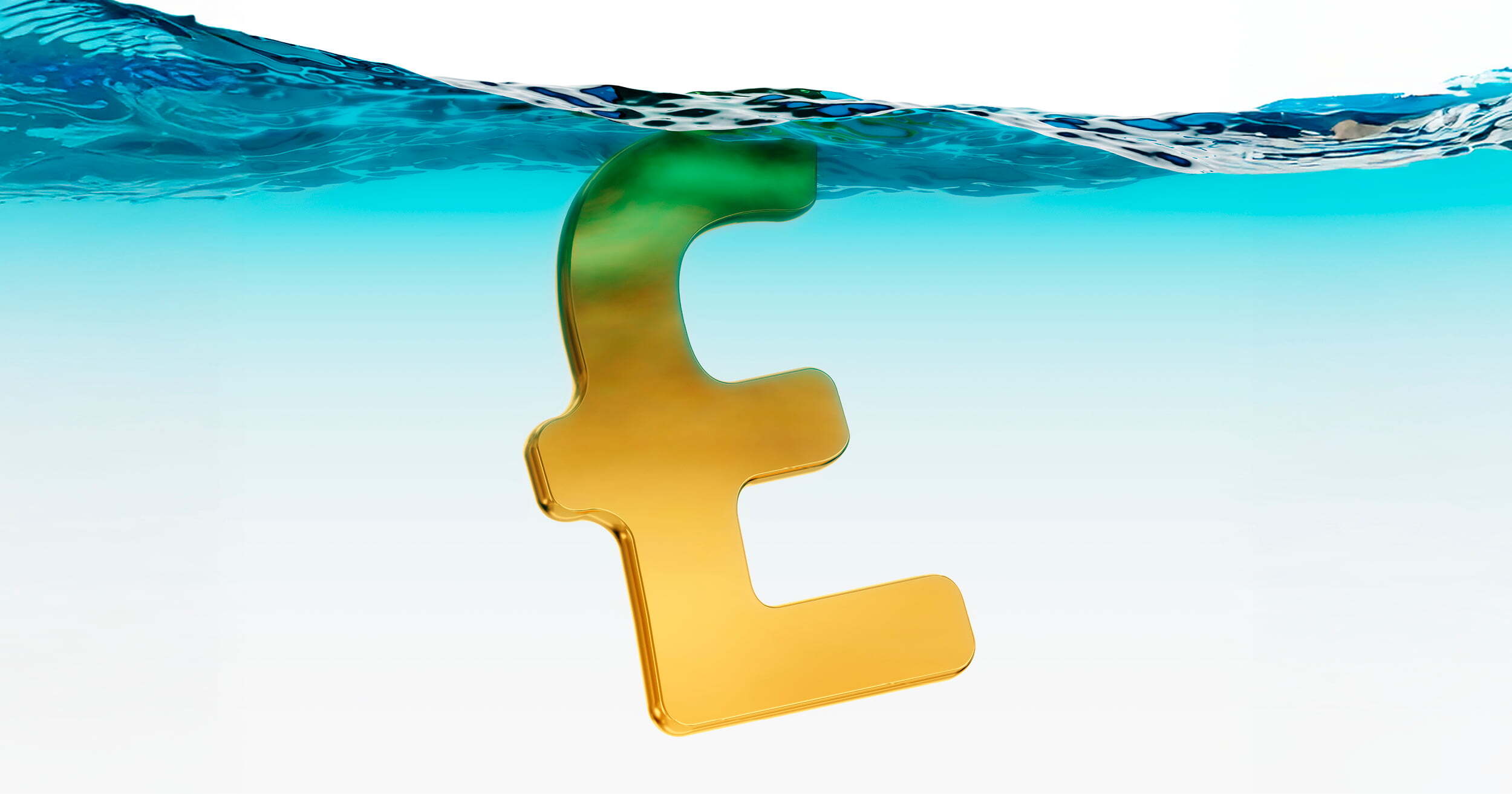 Does rhetoric risk undermining water reforms? - Camargue